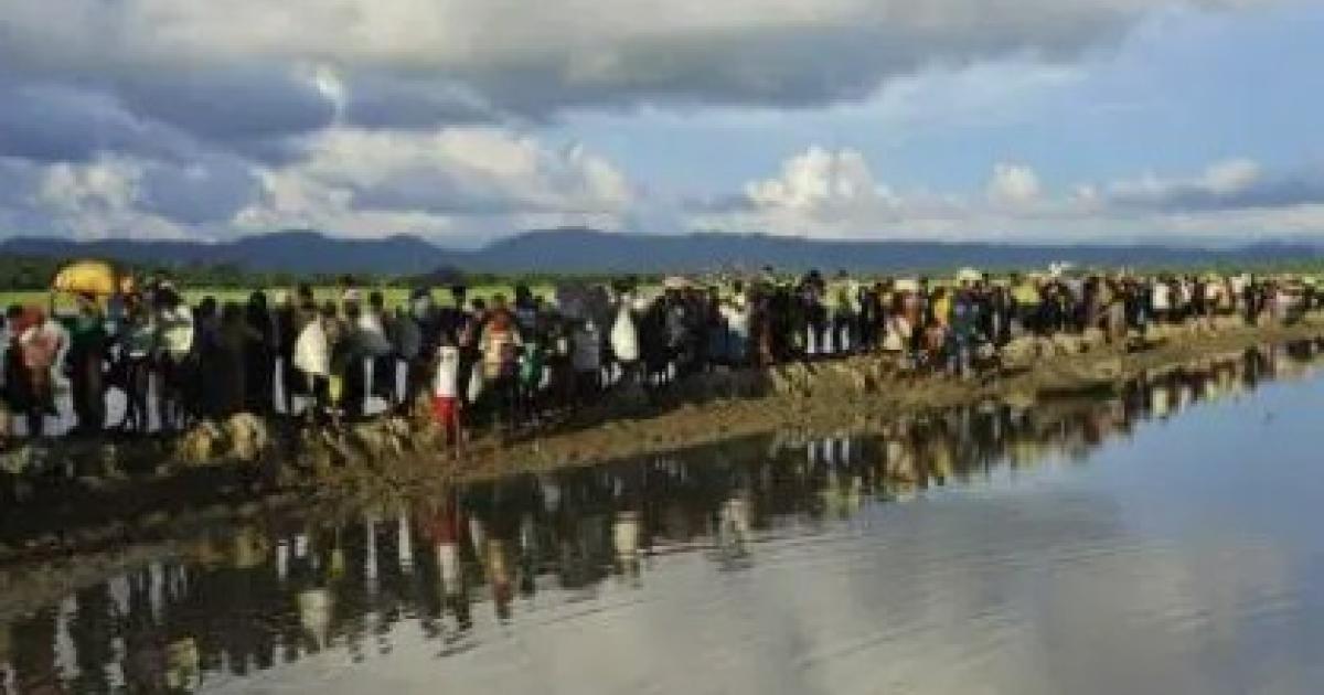 Book Review: Citizenship and Genocide Cards: IDs, Statelessness and ...